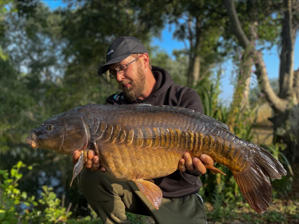 Chunky Linear | Total Carp